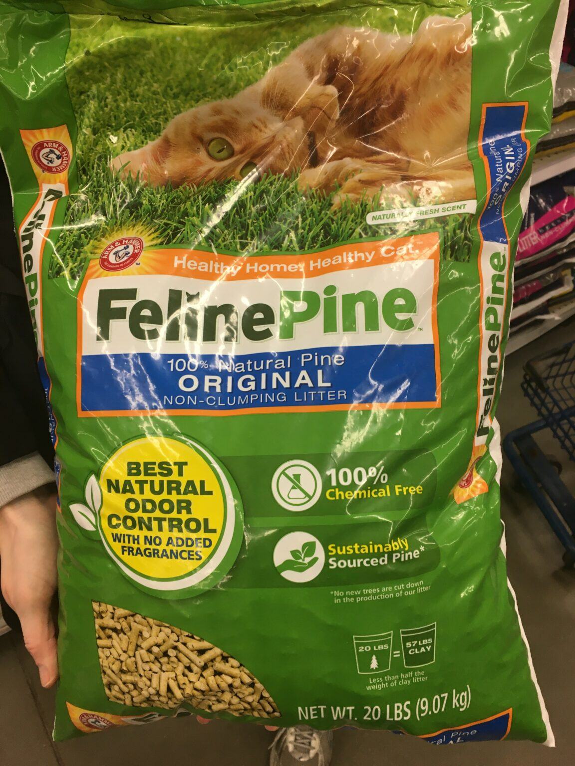 Cat Litter Types Pros and Cons | Happy Cat Corner