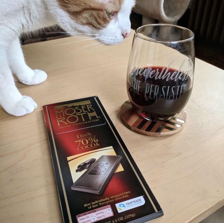 300+ Fun, Alcohol Themed Cat Names | Happy Cat Corner