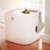 Covered vs. Uncovered Litter Boxes: Which is Better? | Happy Cat Corner