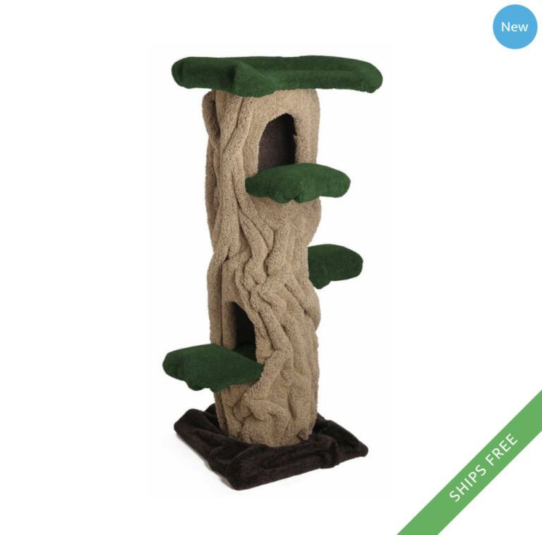 Amazing Cat Trees and Where to Find Them | Happy Cat Corner