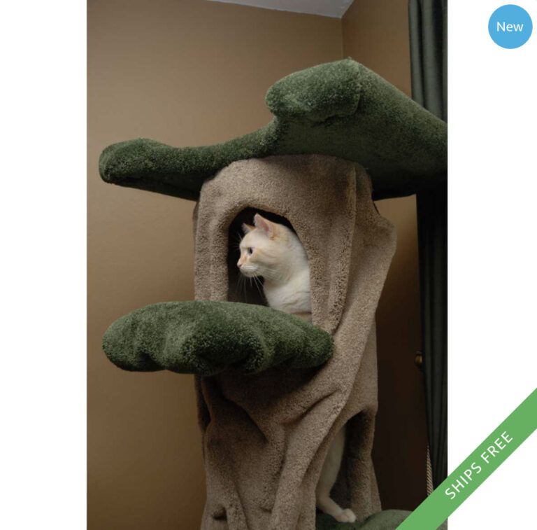 Amazing Cat Trees and Where to Find Them | Happy Cat Corner